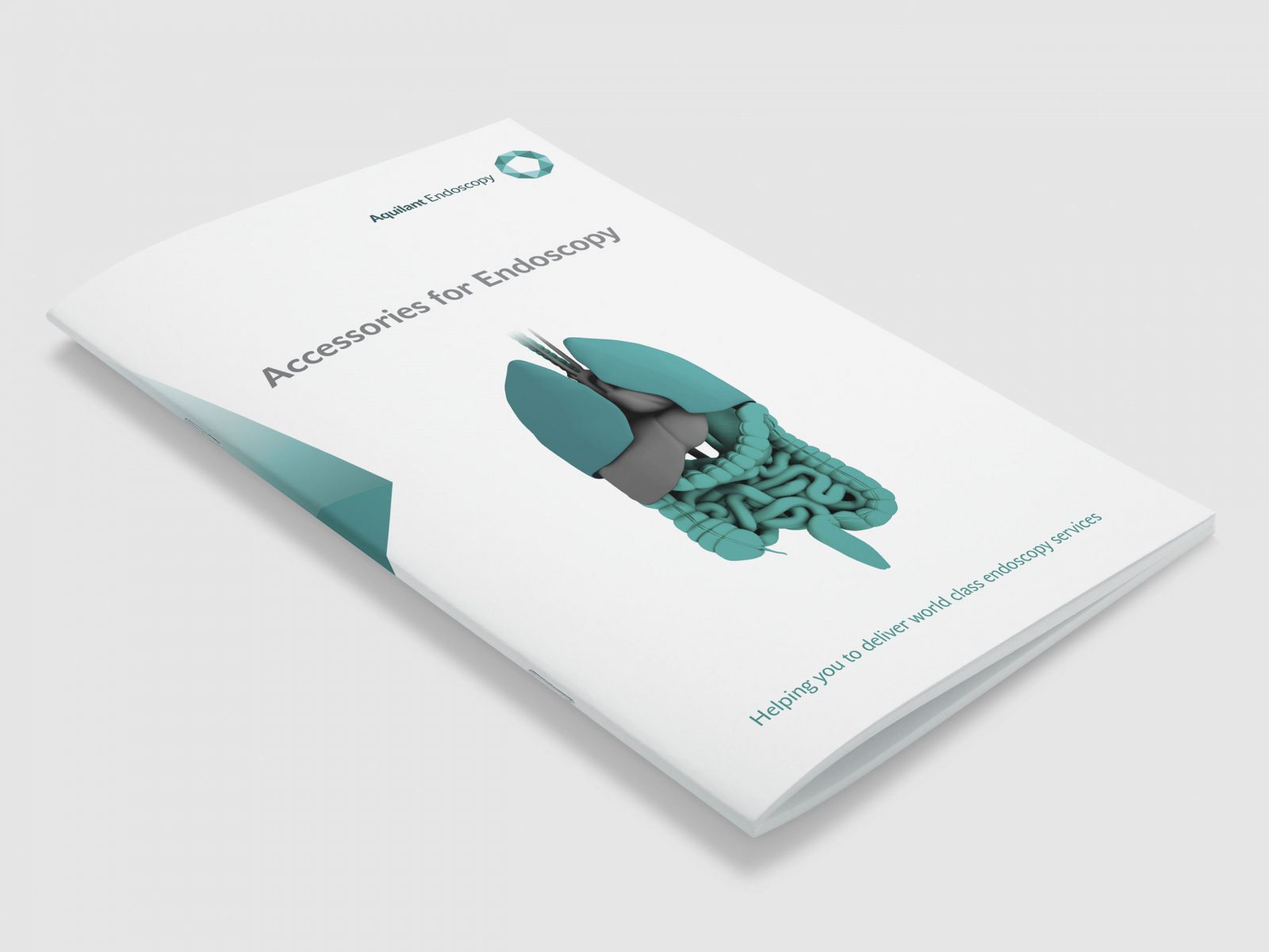 Aquilant Endoscopy | MicroGraphix